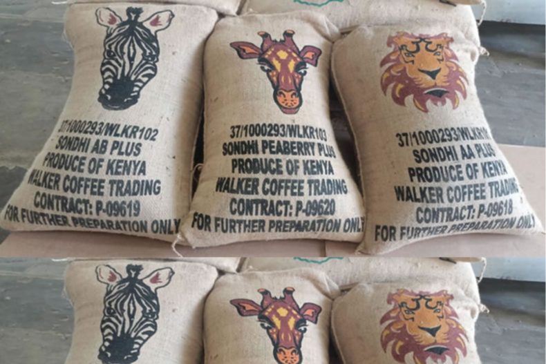 STL’s coffee sacks stencil – “a mini jungle” – Sondhi Trading Limited